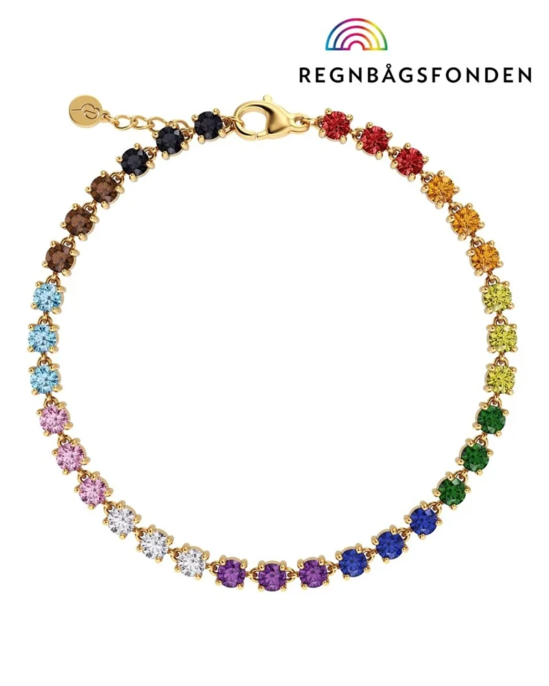 Rainbow Bracelet Progress Gold • Edblad • Snabb leverans • Gratis inslagning